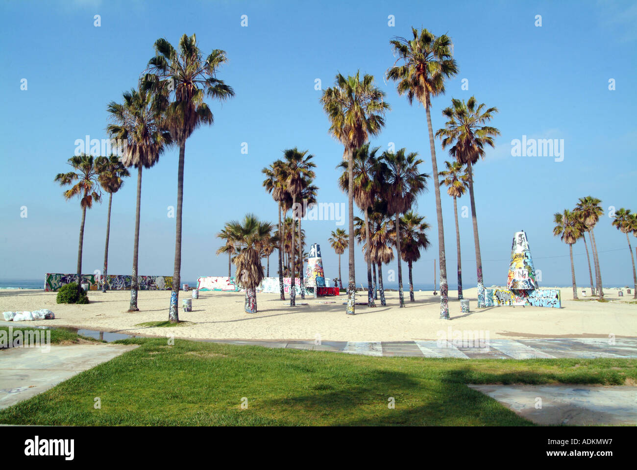 Palm Trees on Venice Beach, California Stock Photo - Alamy