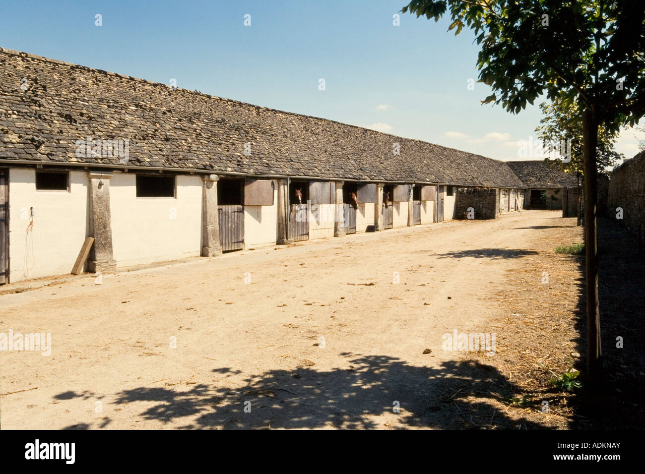 Stables and yard photo hi-res stock photography and images - Alamy
