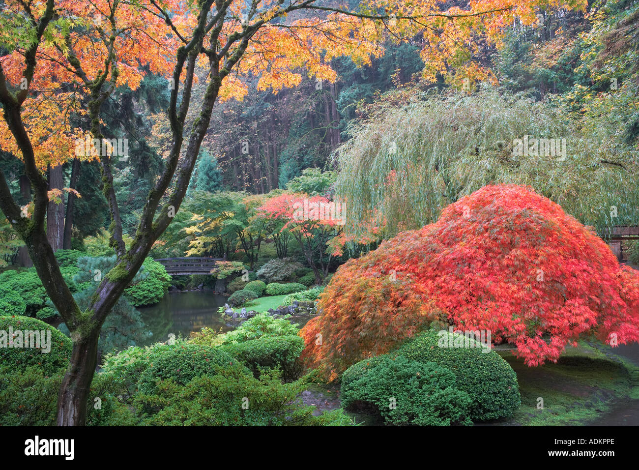 Fall color at Japanese Gardens Portland Oregon Stock Photo - Alamy
