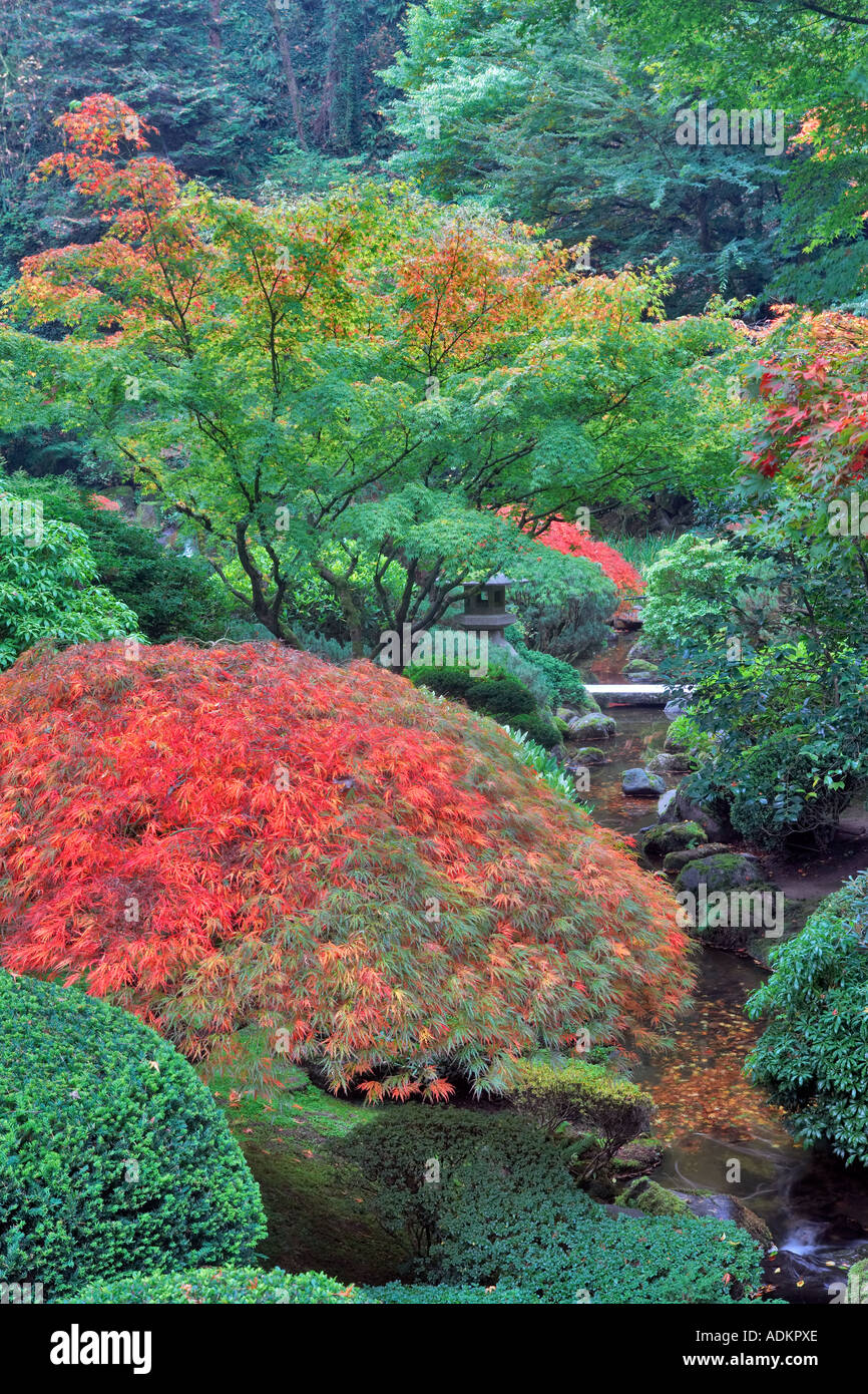 Small stream and fall color Japanese Gardens Portland Oregon Stock ...