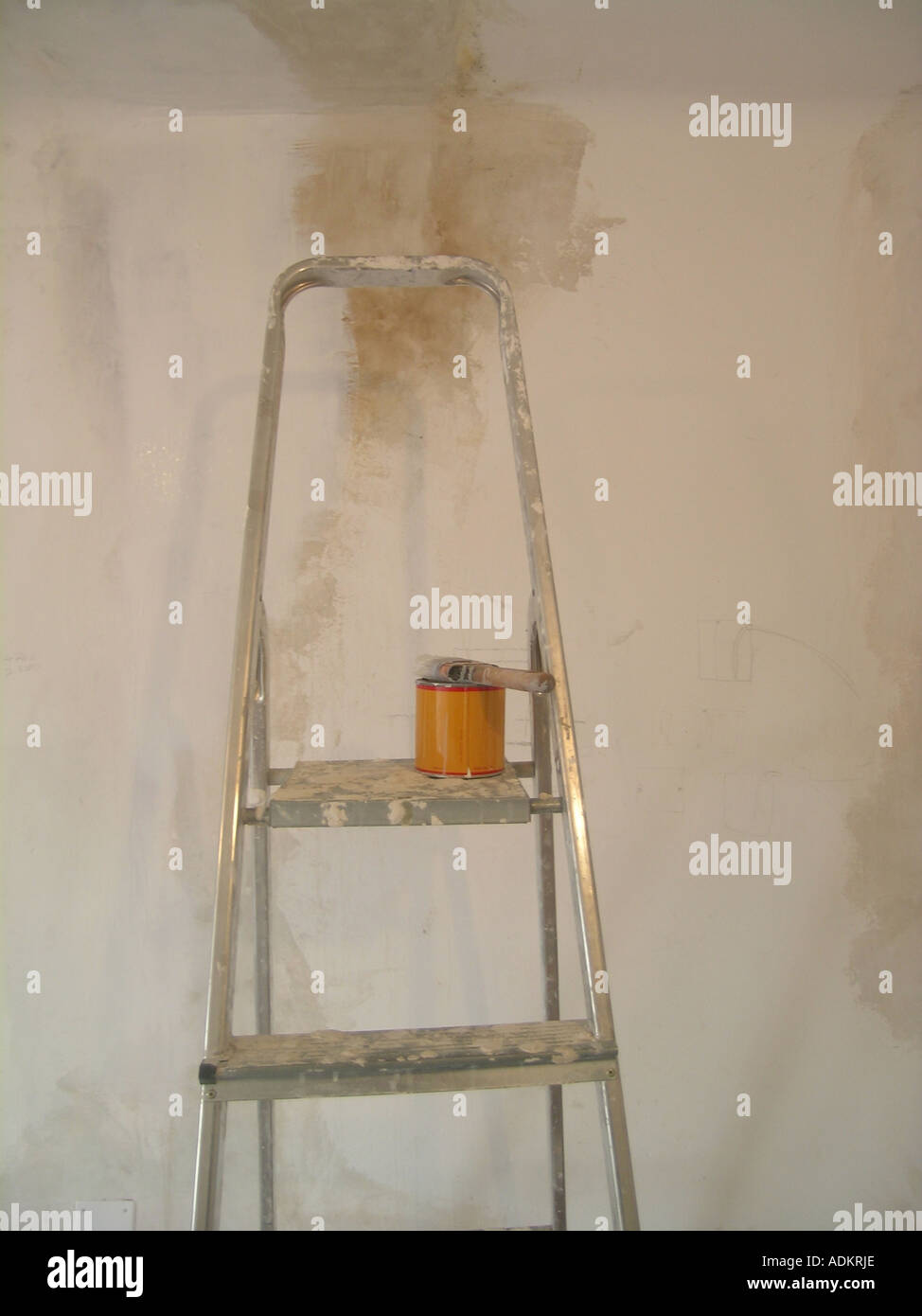 DIY paint & step ladder Stock Photo - Alamy