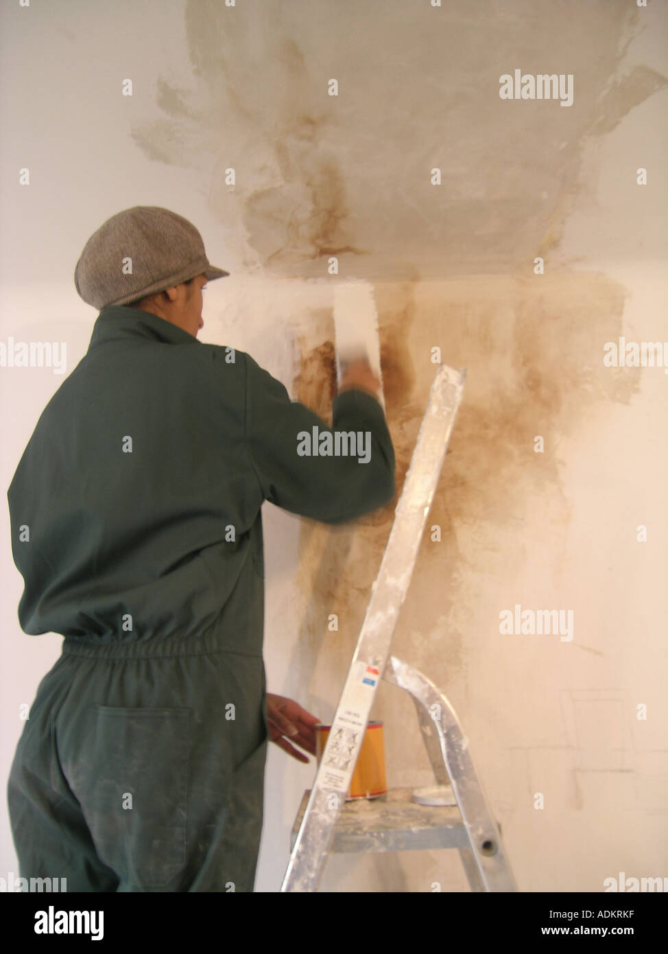 DIY home build girl on step ladder plastering wall Stock Photo - Alamy