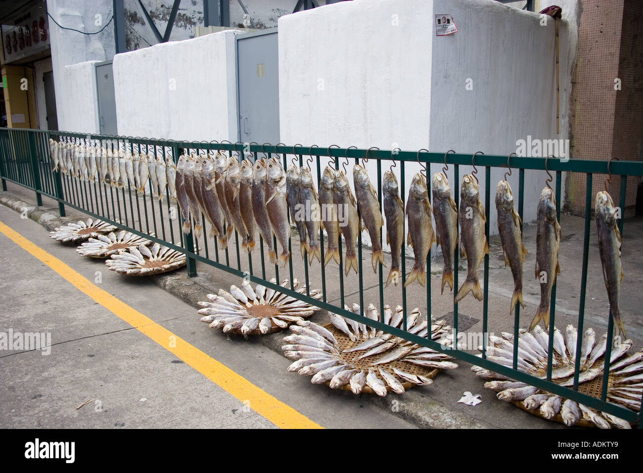Fish are hung up to dry by the roadside in Macao Stock Photo - Alamy
