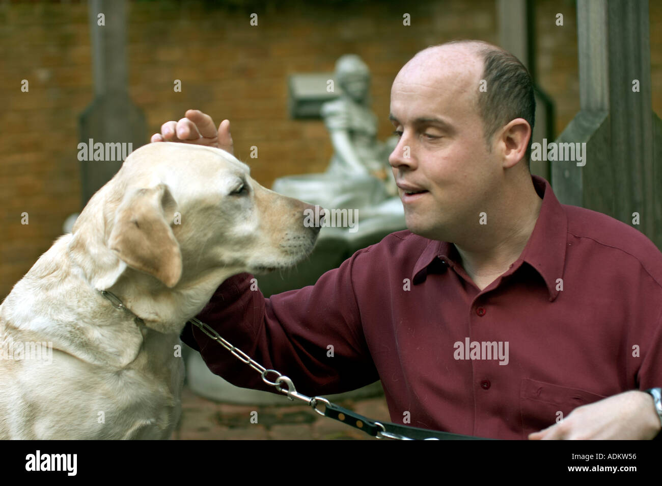 Blind man looking happy with golden labrador guide dog Stock Photo - Alamy