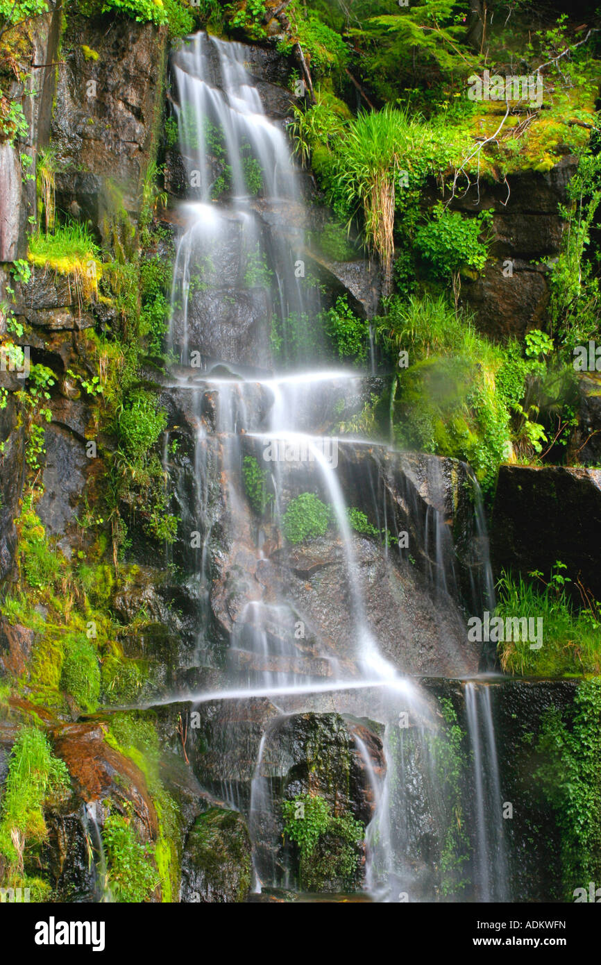 Waterfall in Mount Rainier National Park Washington State Stock Photo ...