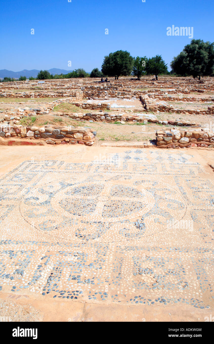antique mosaic at the archeolocical excavation Olynthos on the ...