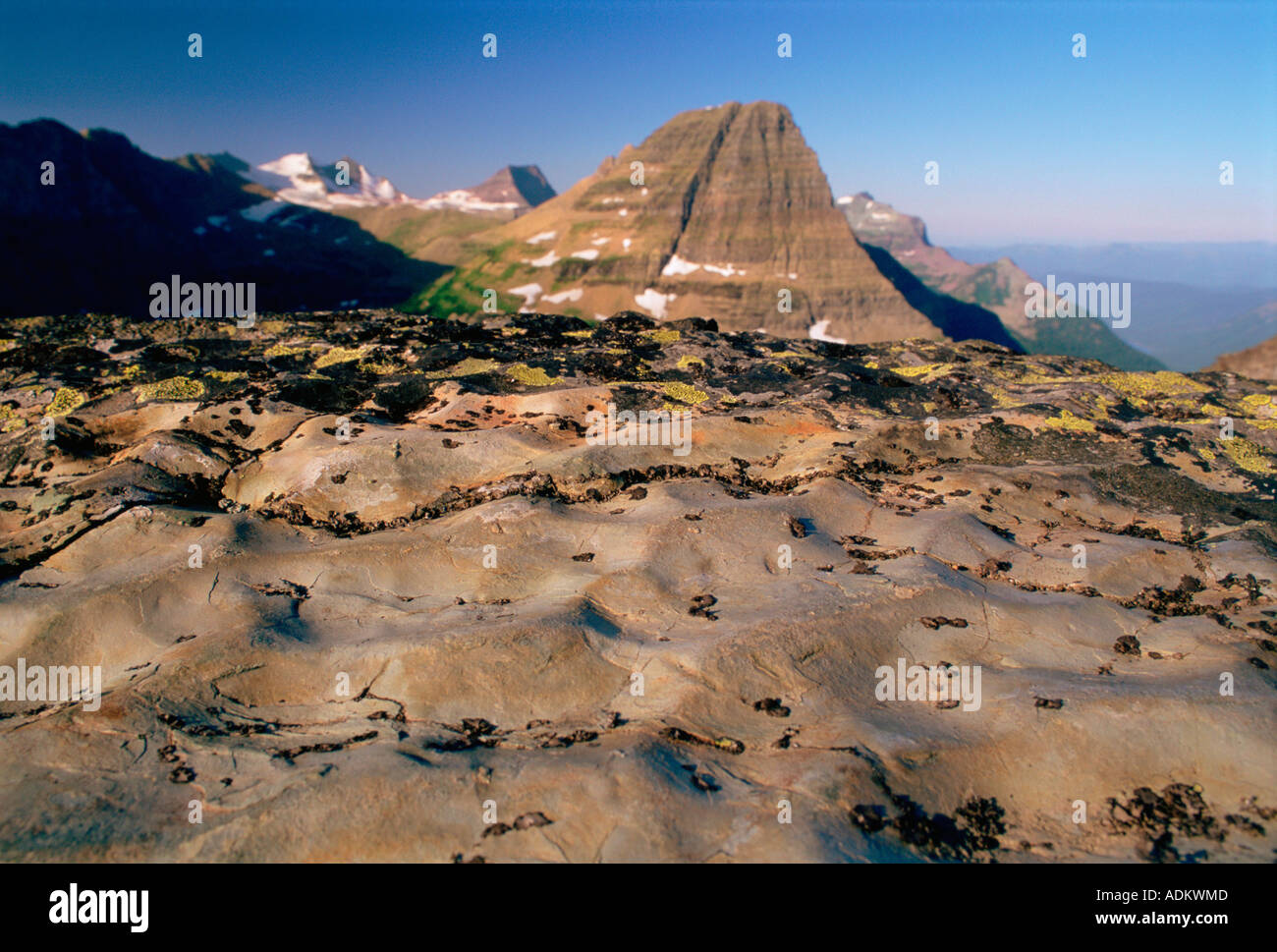 Fossil mud ripples from an ancient seafloor, Logan Pass, Glacier ...