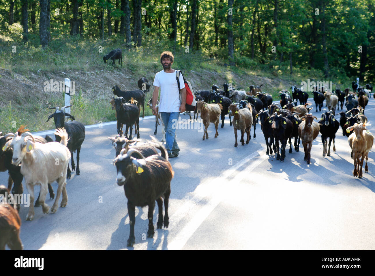Goatherd hi-res stock photography and images - Alamy
