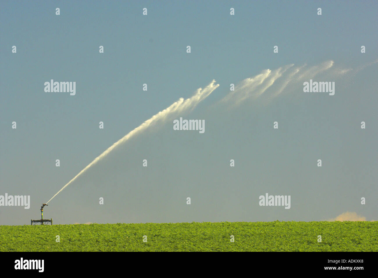 irrigator on crops UK Stock Photo - Alamy