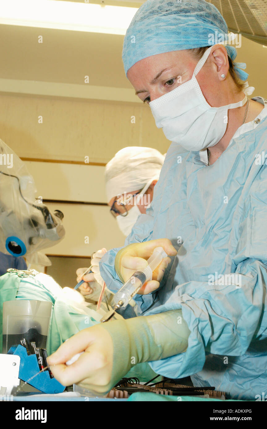 A nurse prepares an injection as a surgical team use micro techniques ...