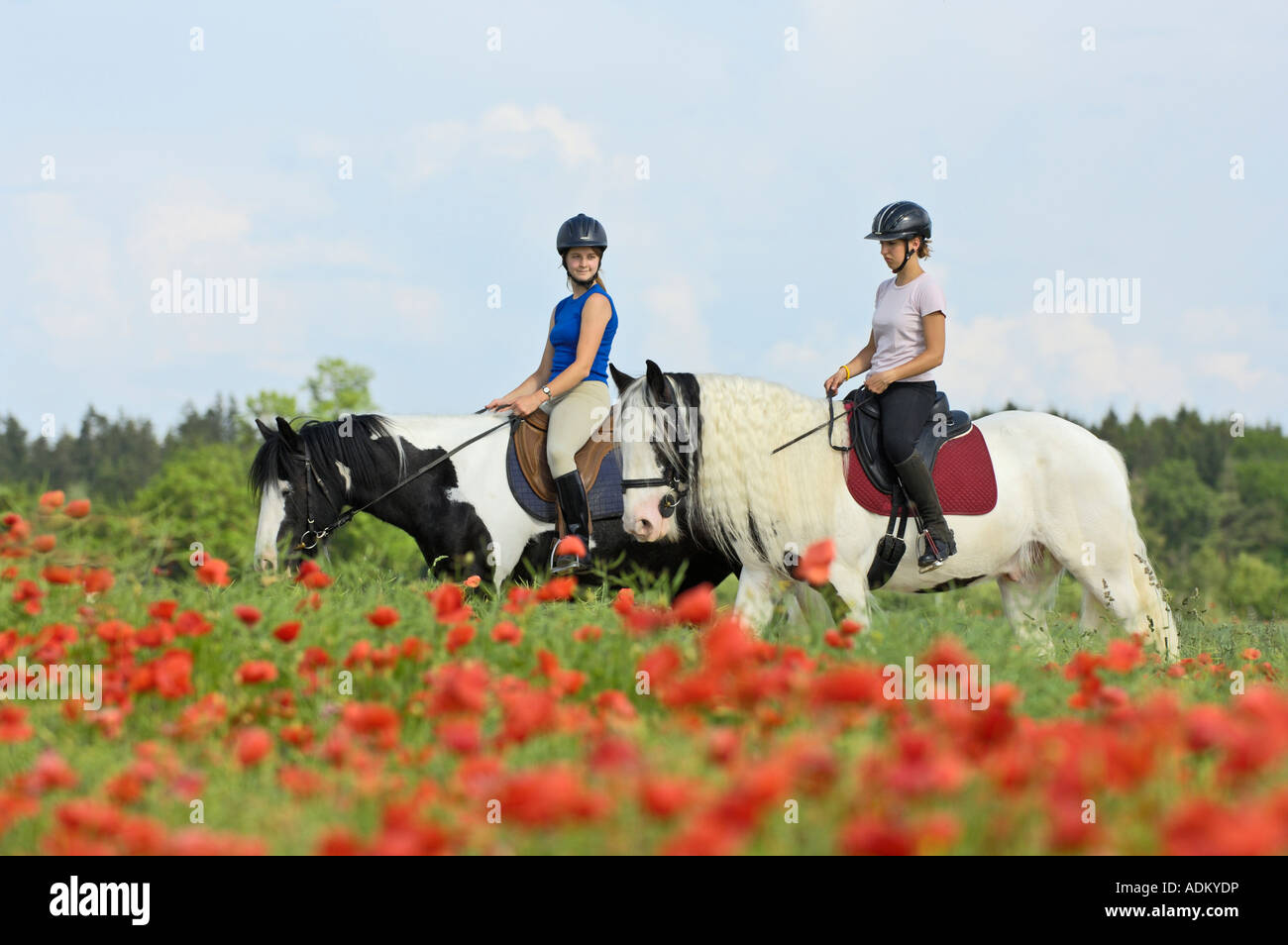 Teenagers riding horses hi-res stock photography and images - Alamy