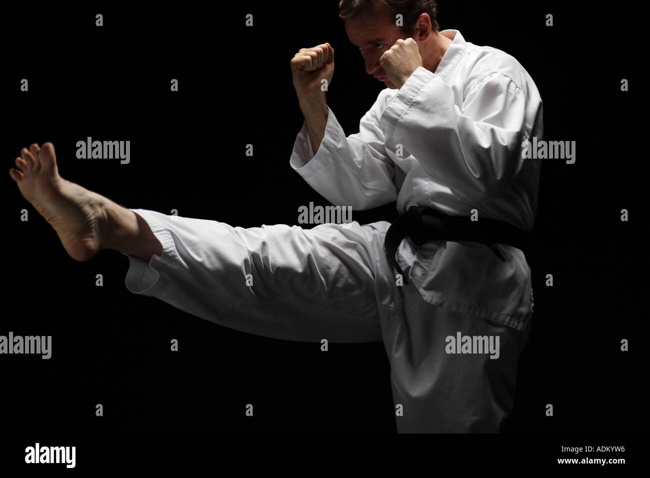 Taekwondo Front Snap Kick