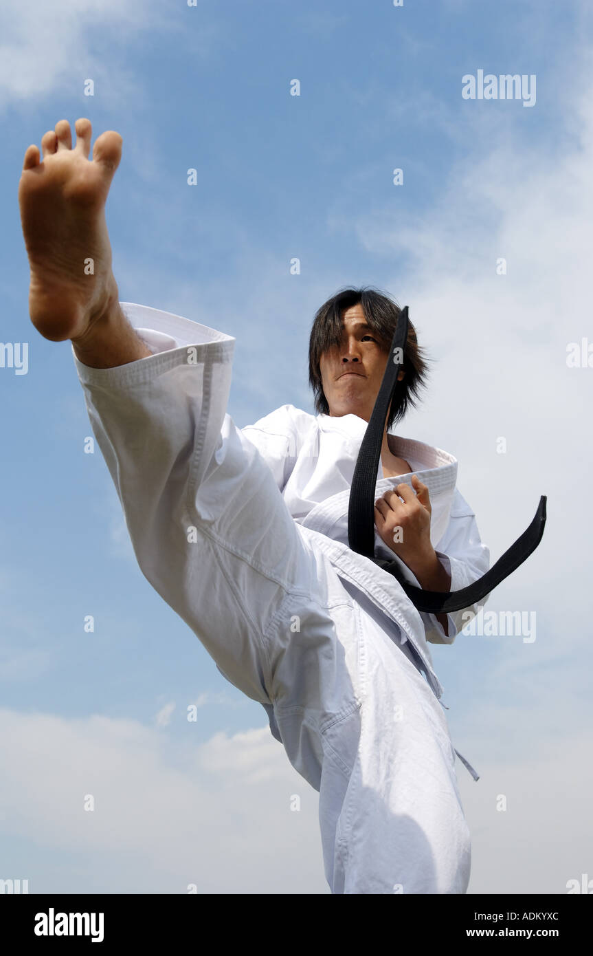 Blackbelt Doing a Front Kick Stock Photo - Alamy