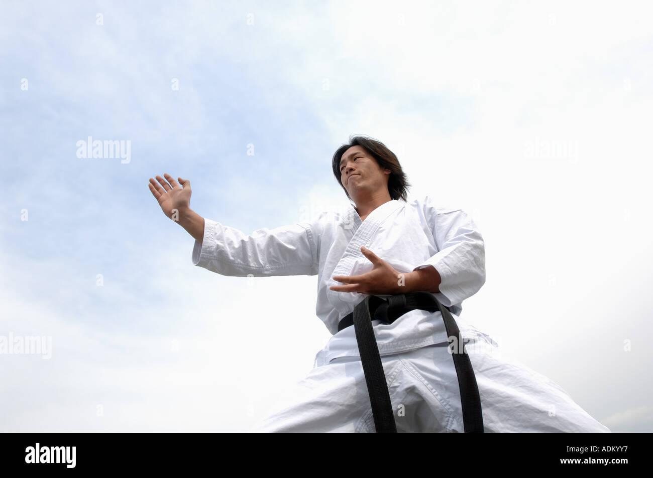 Blackbelt In An At Ready Stance Stock Photo - Alamy