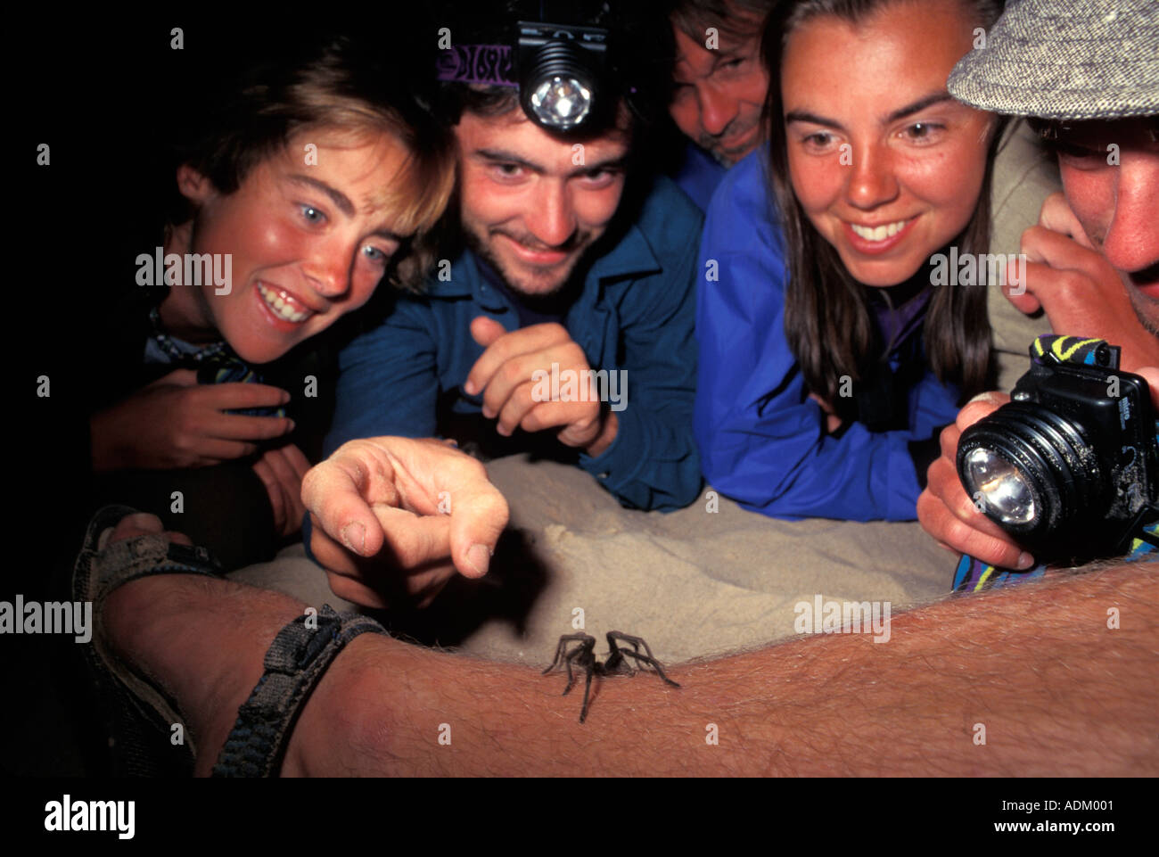 Spider man hi-res stock photography and images - Alamy