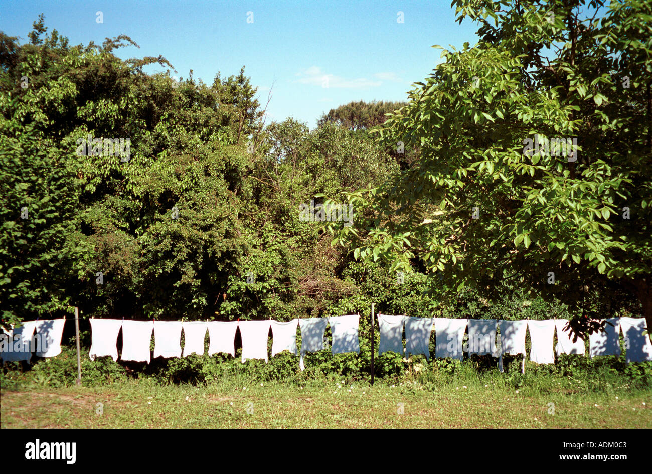 white t shirts on clothes line in countryside Stock Photo - Alamy
