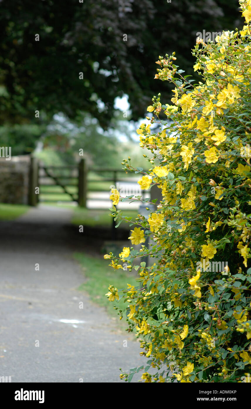 Aldington kent hi-res stock photography and images - Alamy