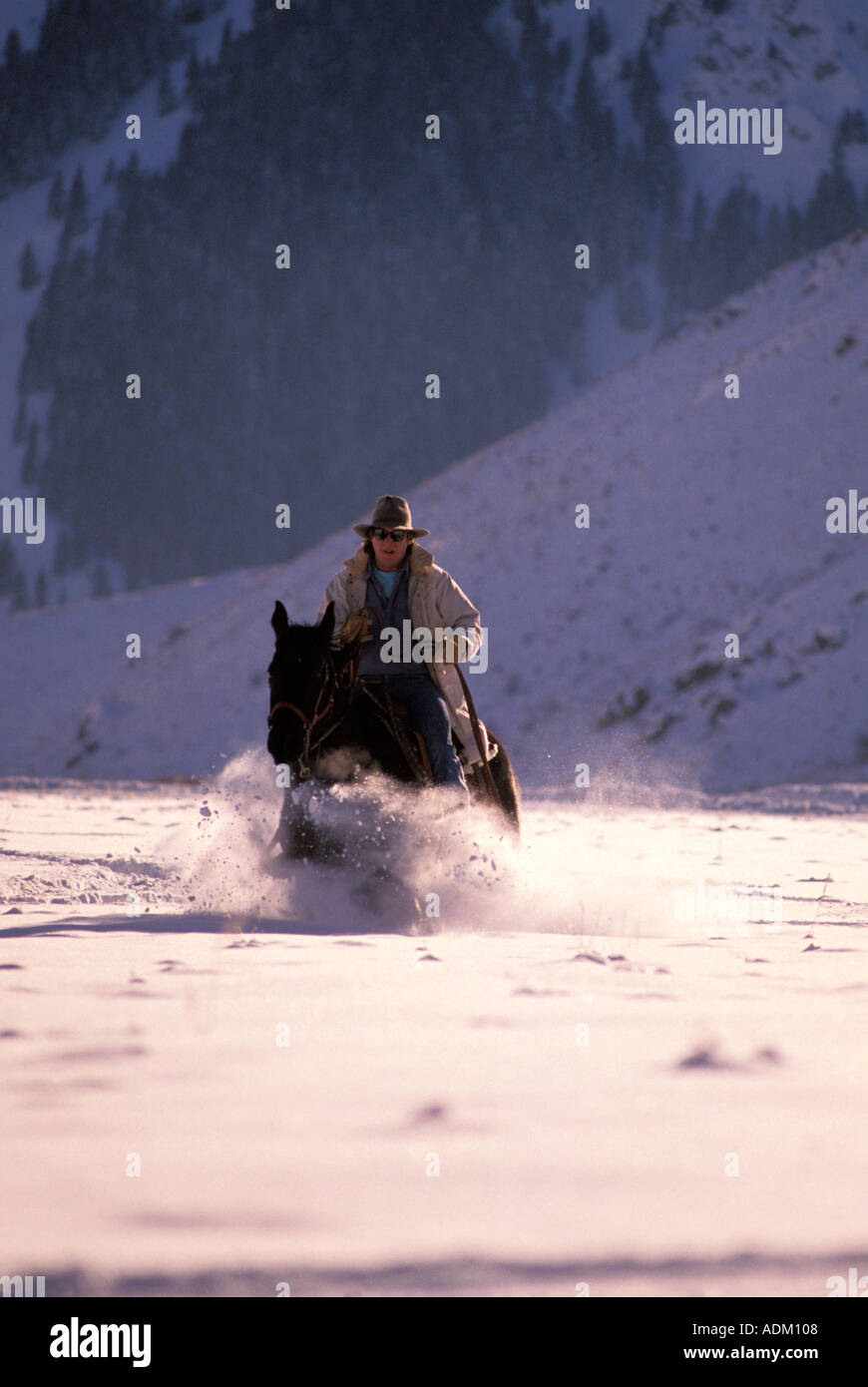 Cowboy Riding a Horse Through Snow Stock Photo - Alamy