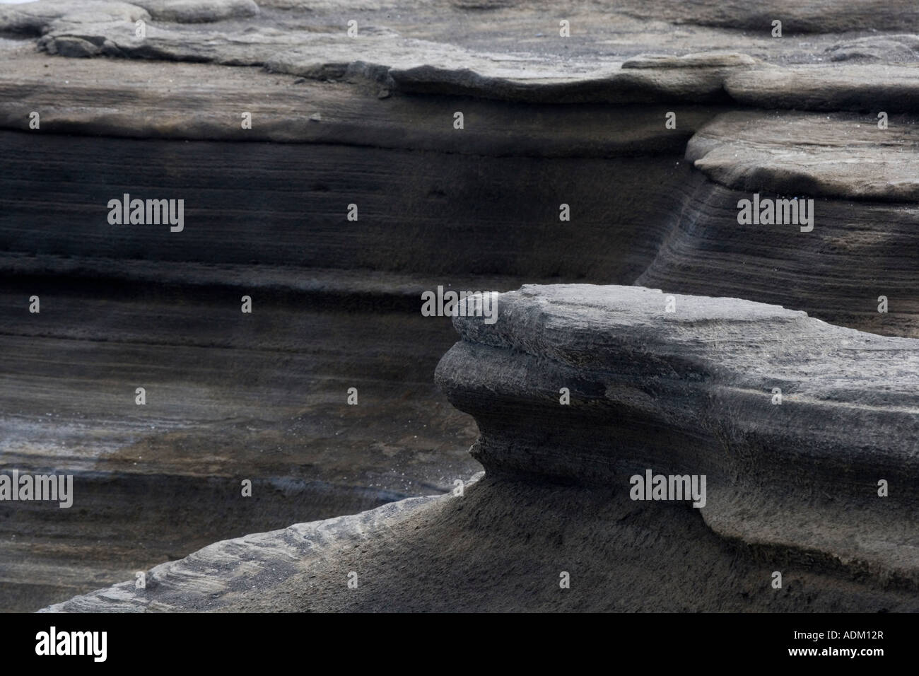 Lava shore Island of Fernandina also known as Narborough Island Stock ...