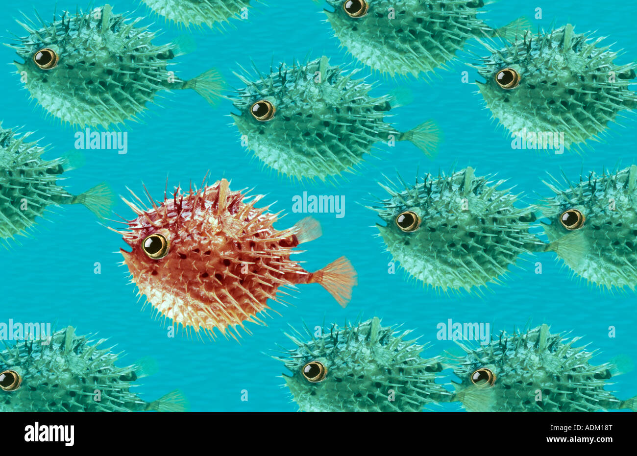 Odd one out Stock Photo - Alamy