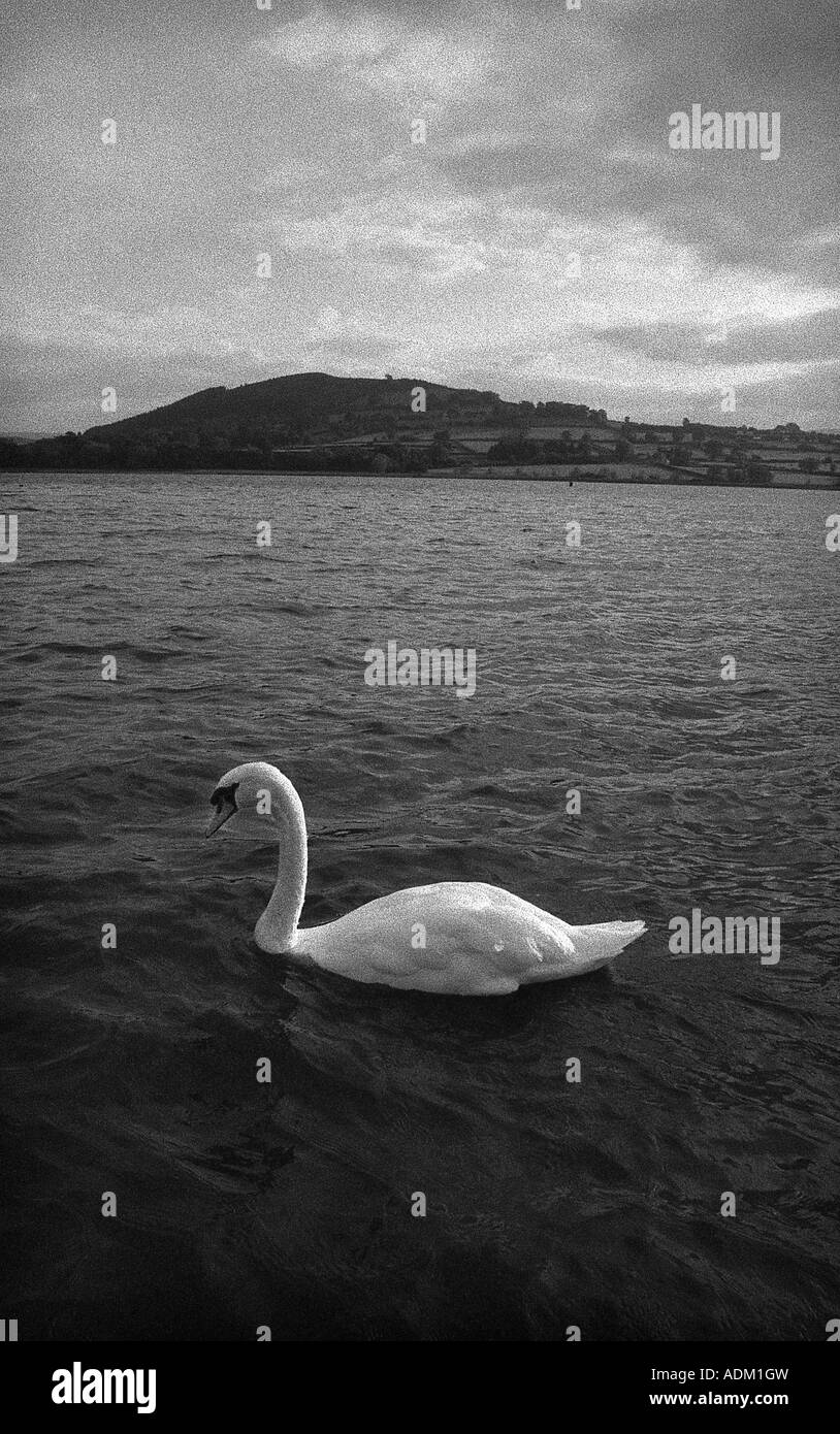 Black and white hocking samuelhocking hi-res stock photography and ...