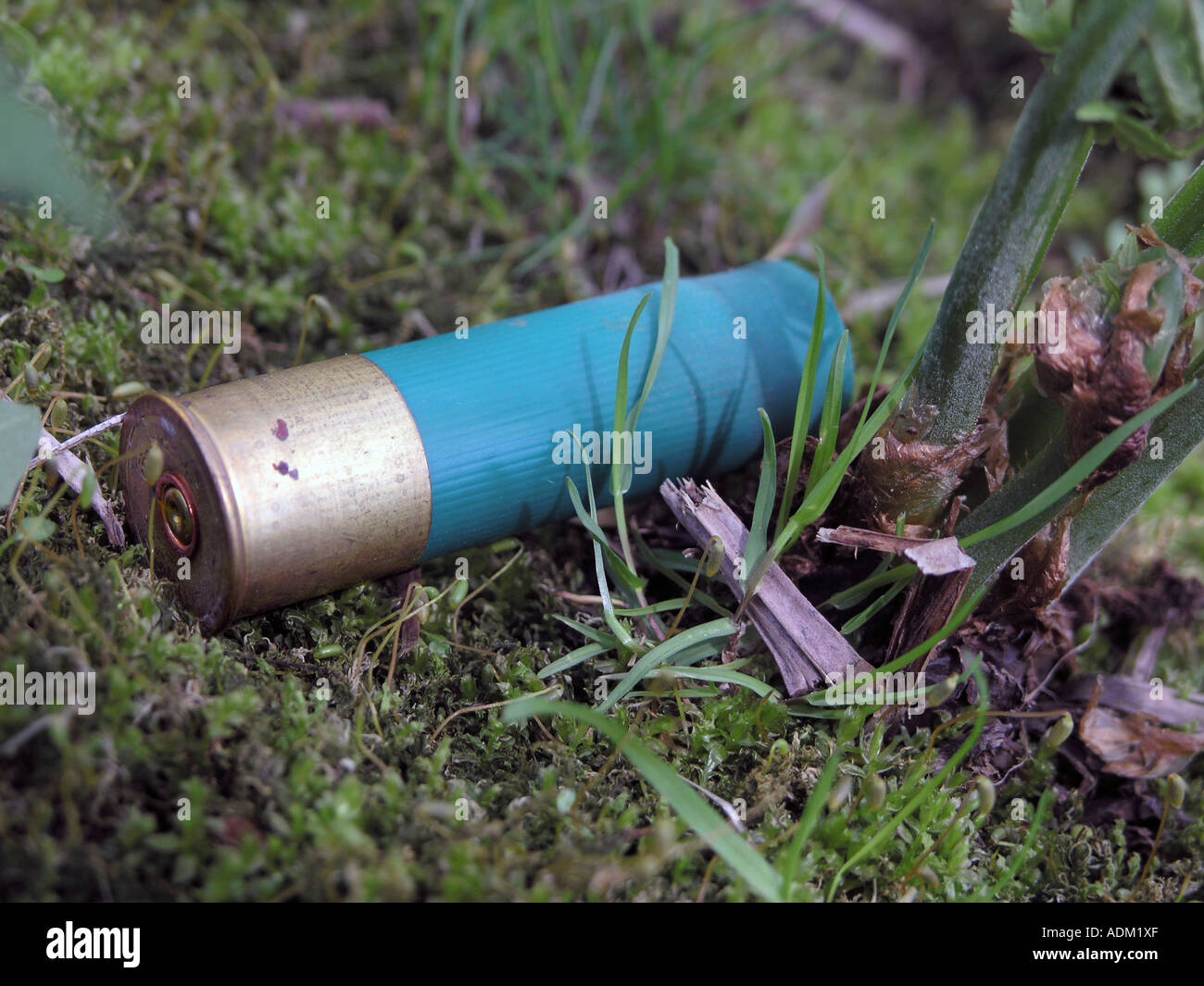 Shotgun shell pellets hi-res stock photography and images - Alamy