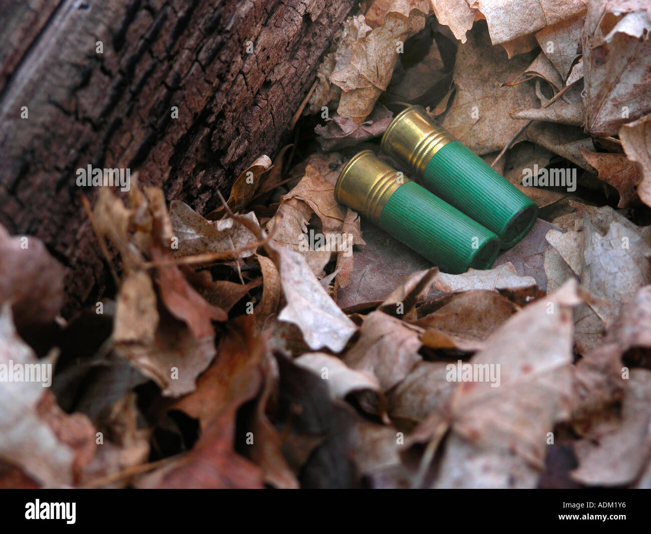 Shotshells hi-res stock photography and images - Alamy