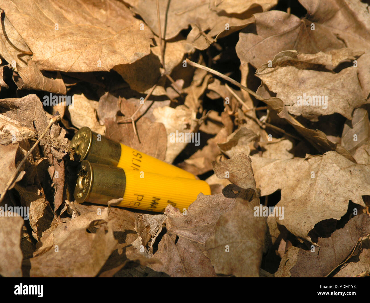 Shotshells hi-res stock photography and images - Alamy
