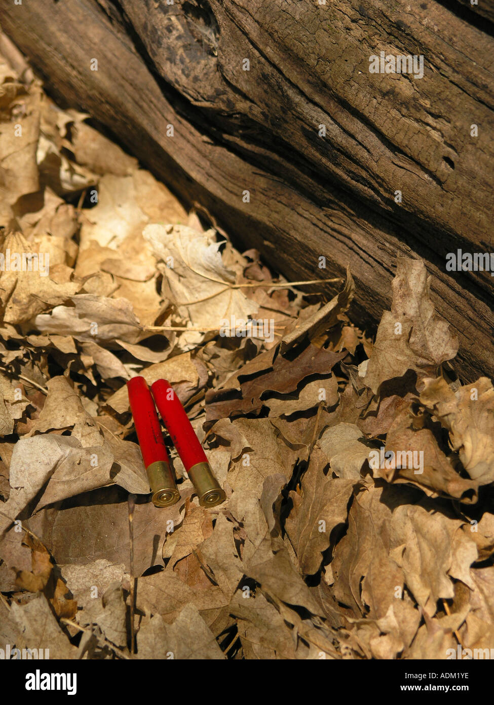 410 shotgun hi-res stock photography and images - Alamy