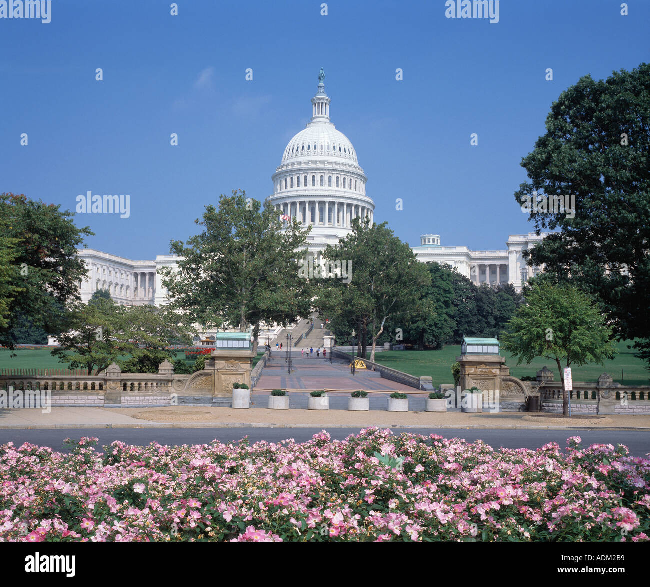 View Of The Capitol From A Flower Garden Stock Photo - Alamy