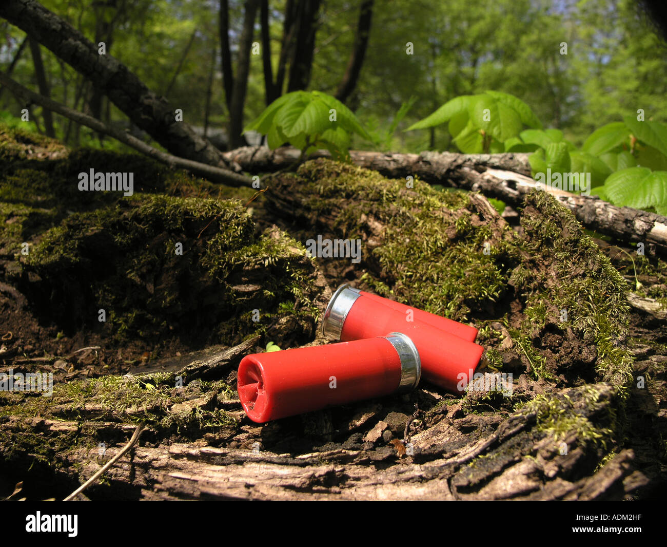 Shotgun shell pellets hi-res stock photography and images - Alamy