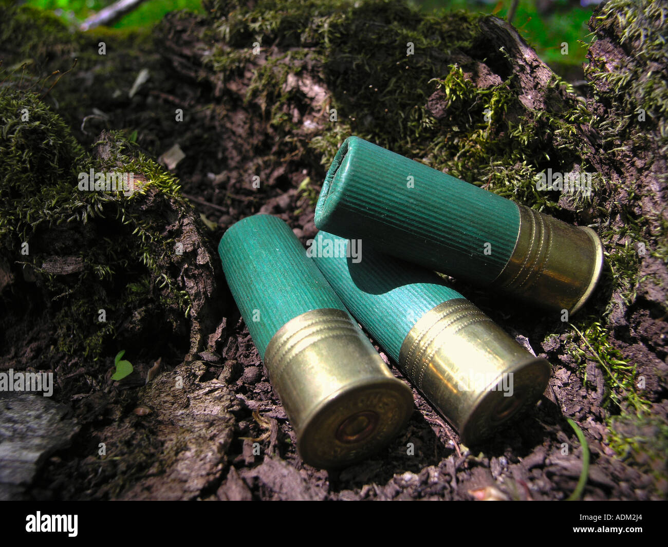 Shotshells hi-res stock photography and images - Alamy