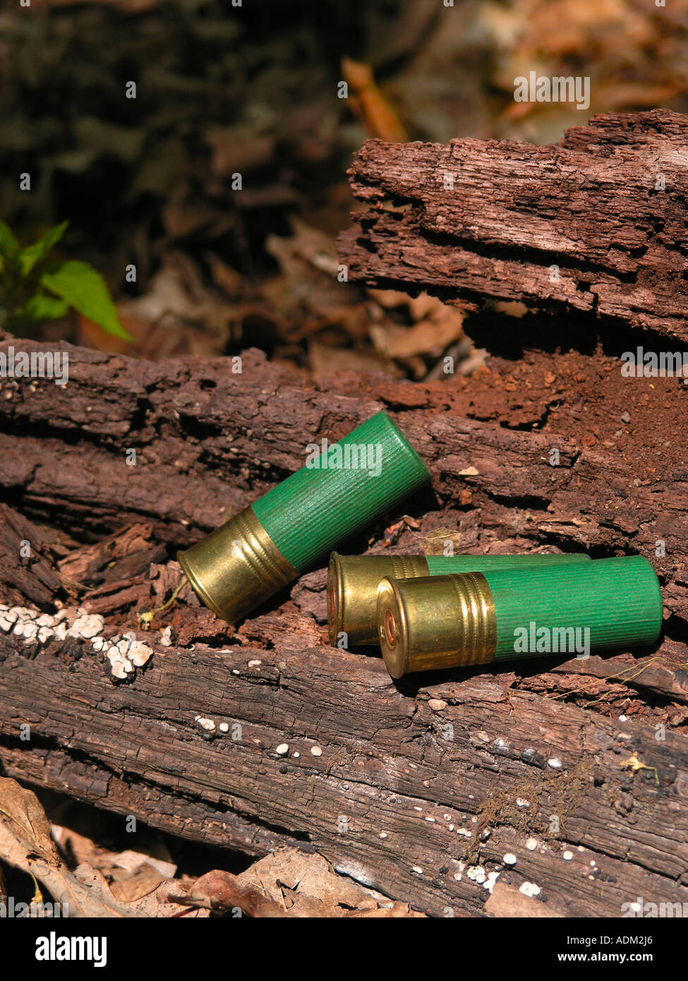 Shotshells hi-res stock photography and images - Alamy