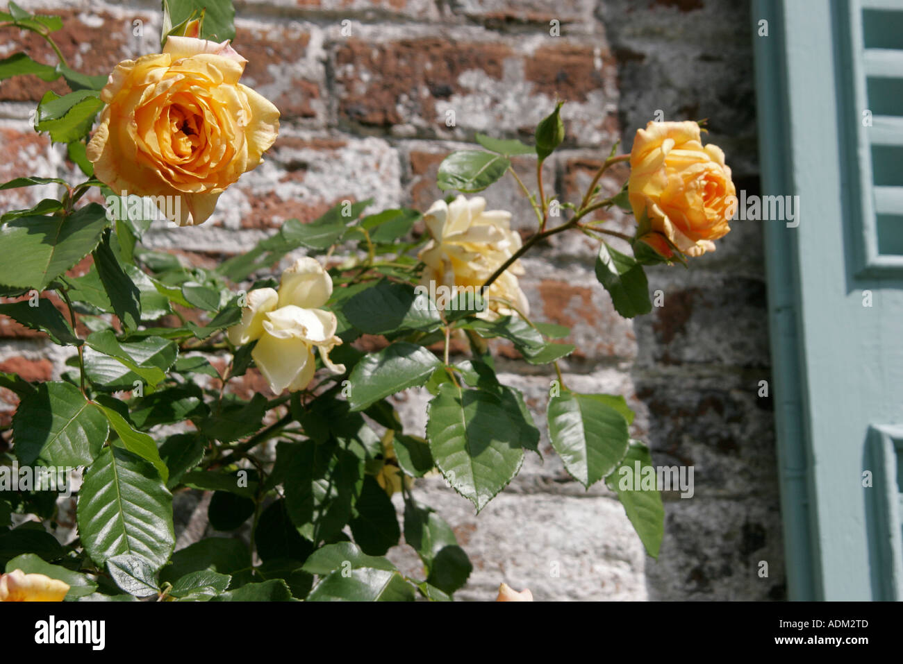 Virginia Colonial National historical history Park,York County,Yorktown ...
