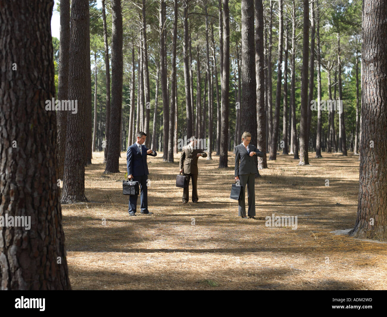 Alienated work office hi-res stock photography and images - Alamy