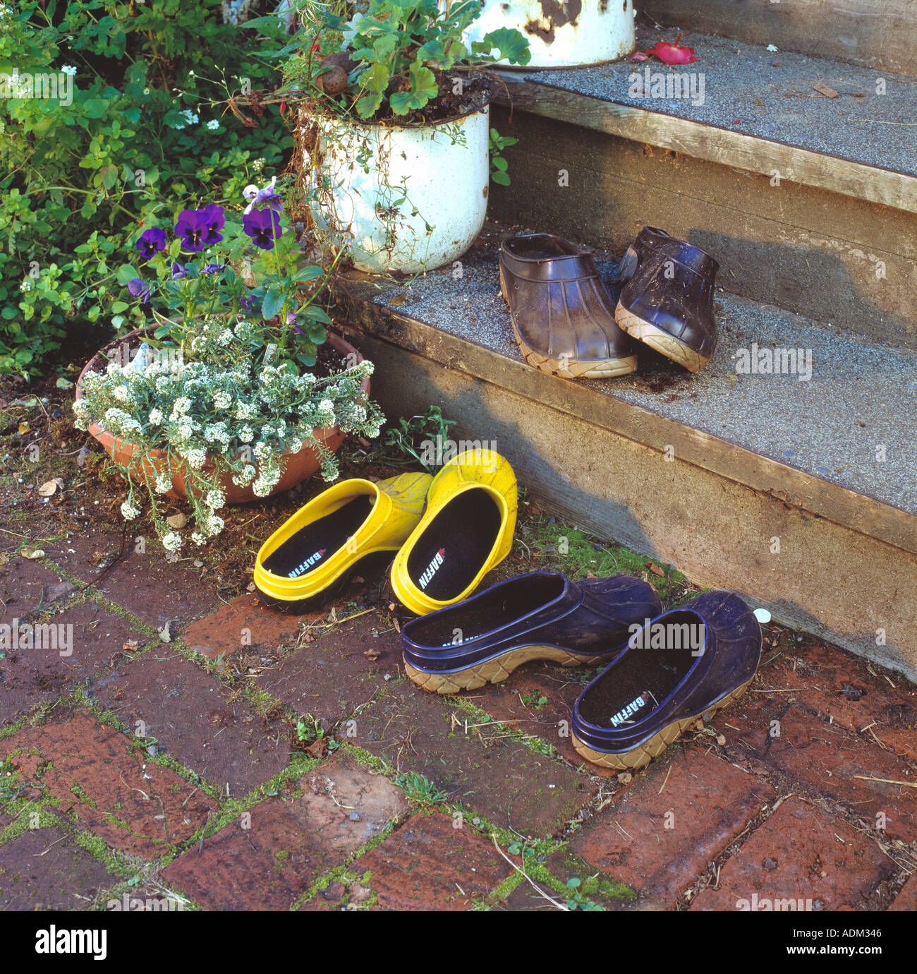 Hiking shoe left on hi-res stock photography and images - Alamy