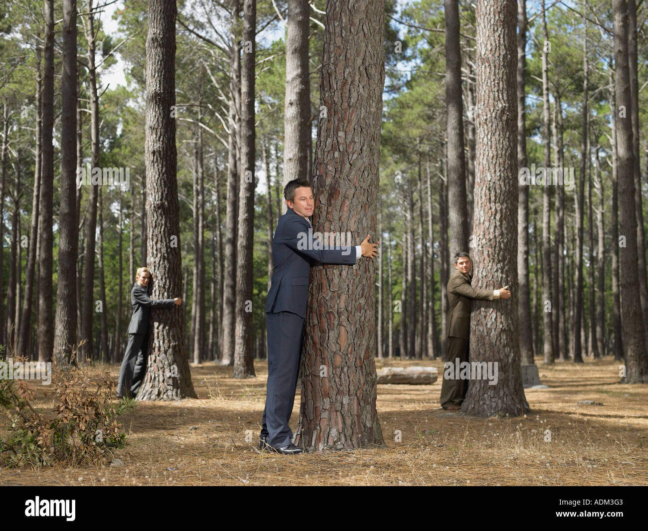 Full length of businessman hugging tree trunk in forest Stock Photo - Alamy