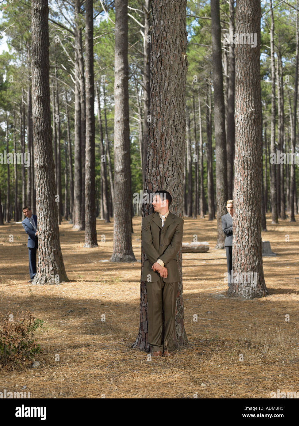 Office workers playing hide and seek Stock Photo - Alamy