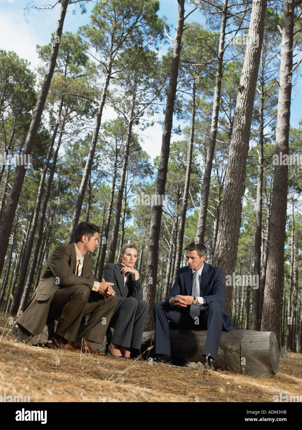 Office workers sitting in a forest Stock Photo - Alamy