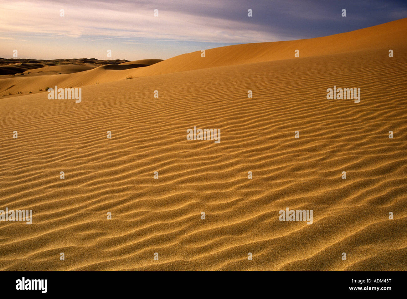 Imperial Sand Dunes National Recreation Area in southern California ...