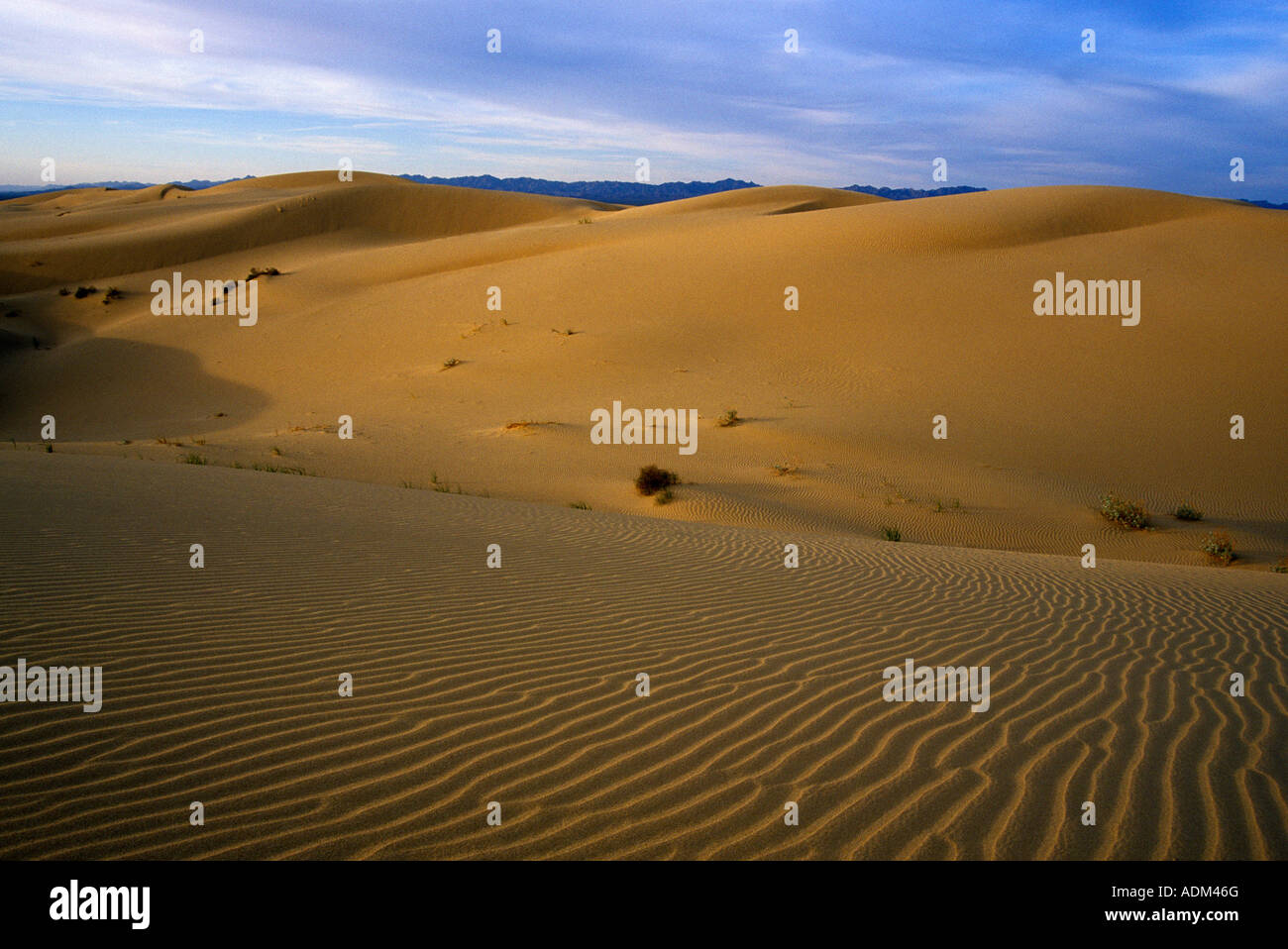 Imperial Sand Dunes National Recreation Area in southern California ...