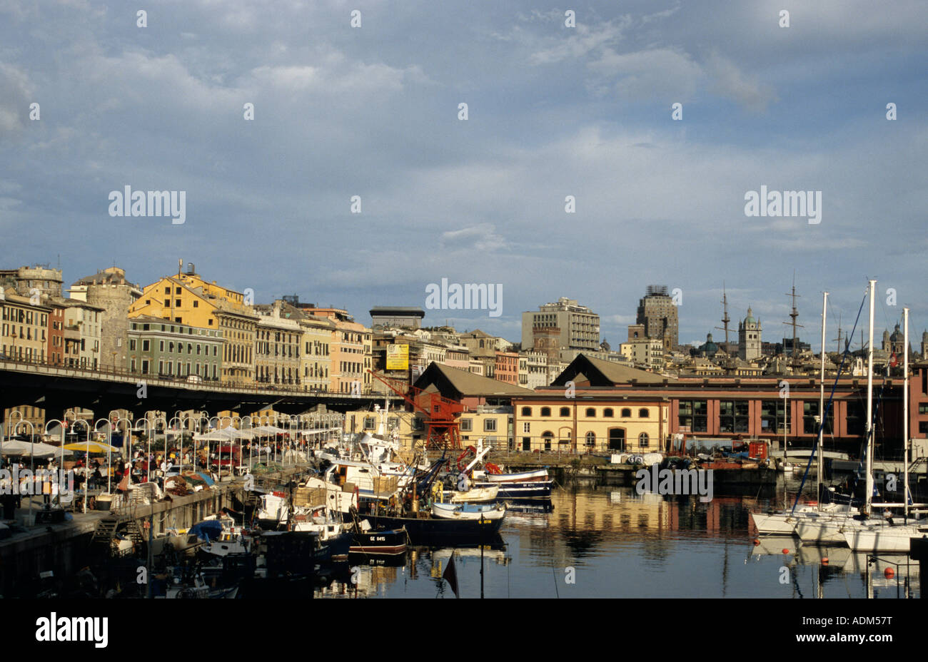 The port of Genoa with international liners ferries and sailing ships ...