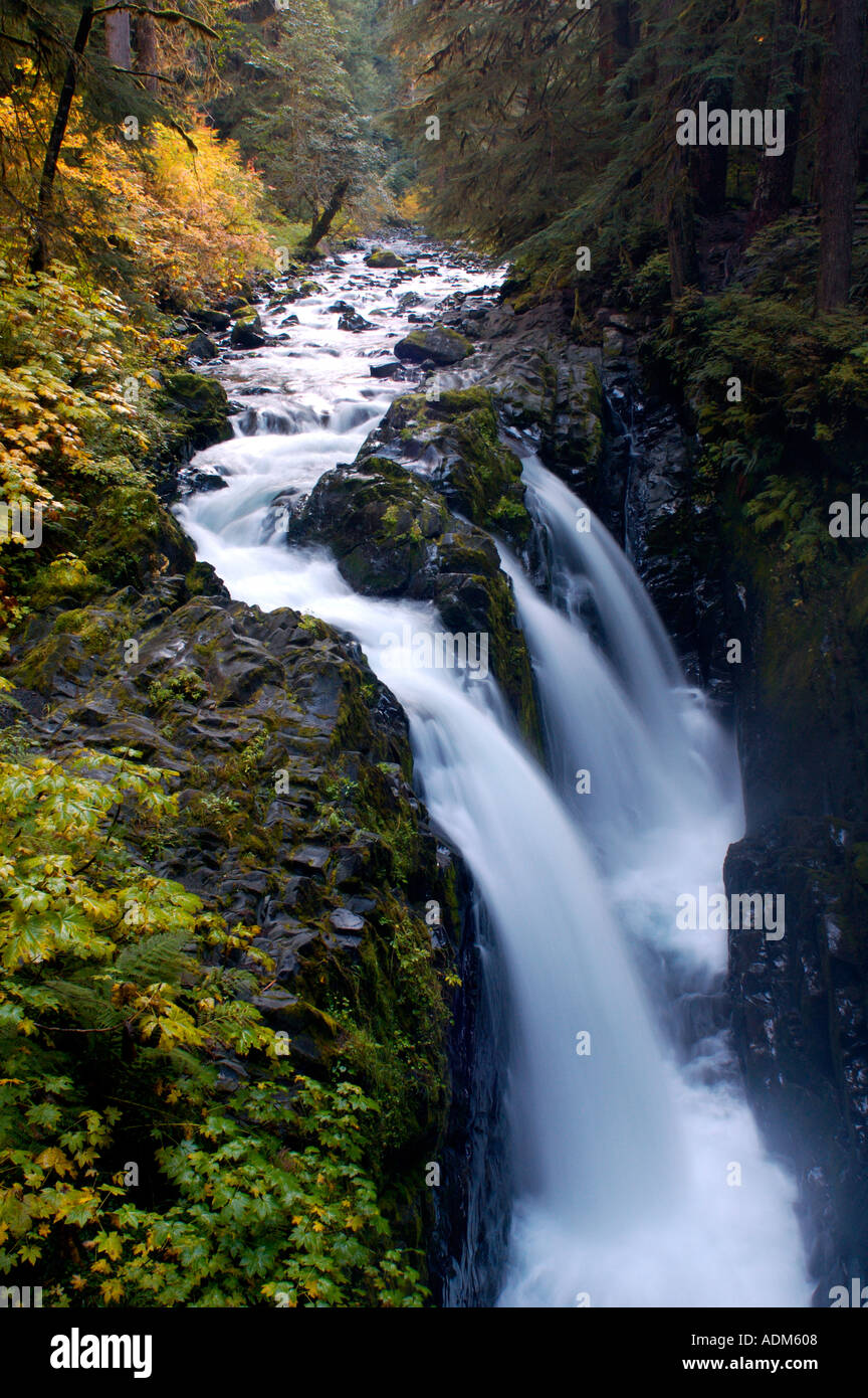 Sol Duc Falls in Olympic National Park Washington USA Stock Photo - Alamy