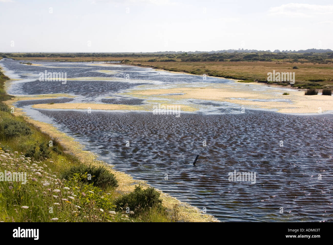 keyhaven pennington salt marsh New Forest Hampshire coast Stock Photo ...
