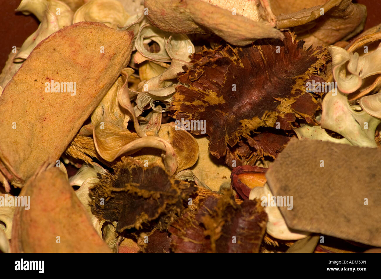 Pot pourri pattern hi-res stock photography and images - Alamy
