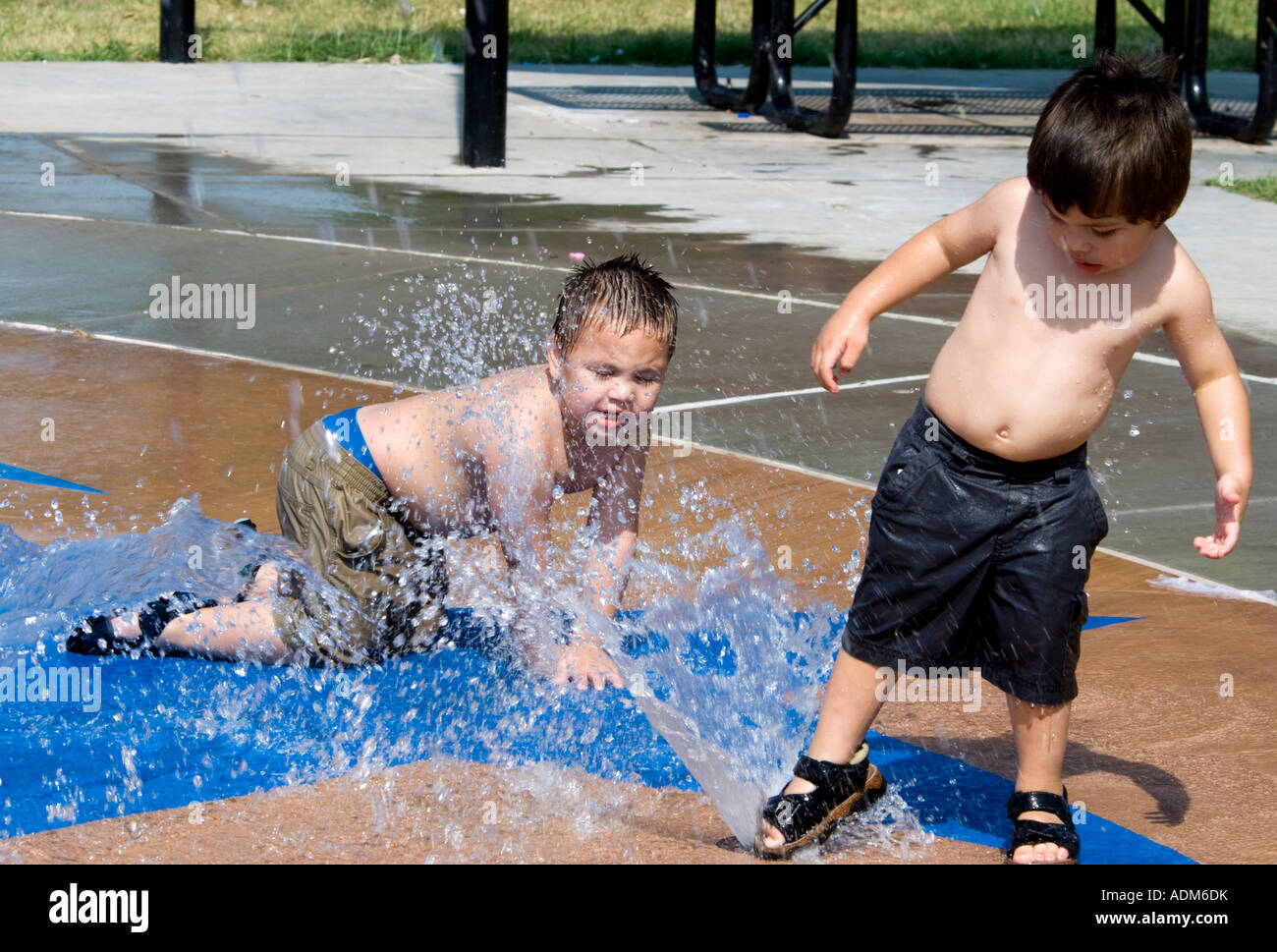 Juveniles playing in water hi-res stock photography and images - Alamy