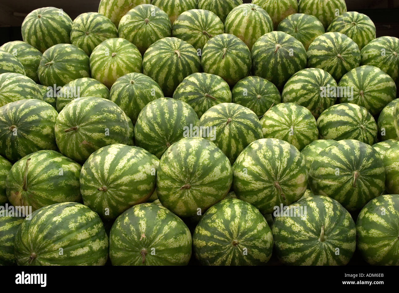 Watermelon for sale in the French Market New Orleans Louisiana Stock ...
