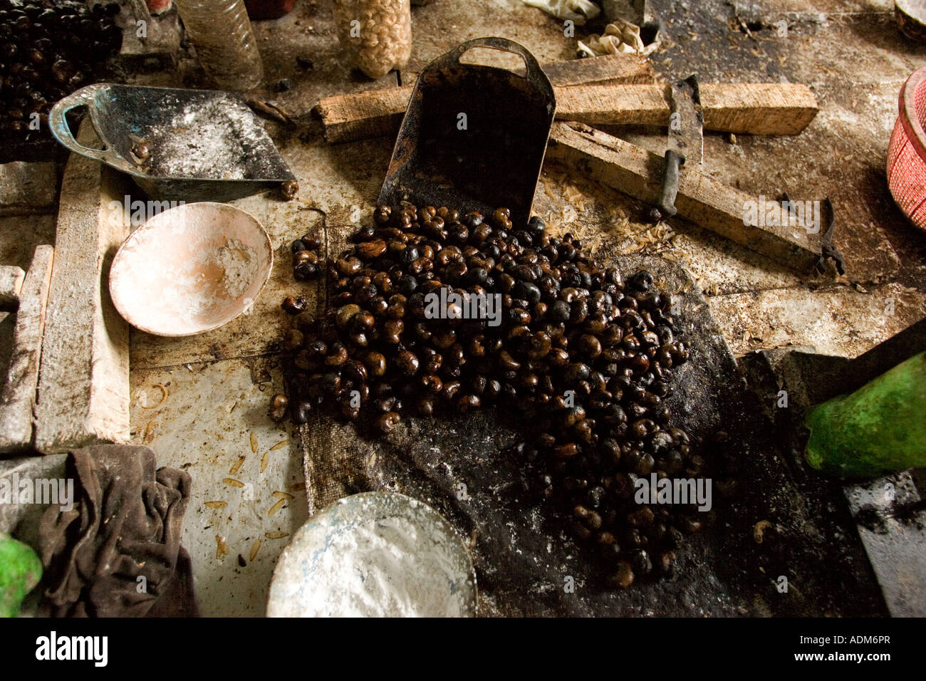 Cashew plantation hi-res stock photography and images - Alamy