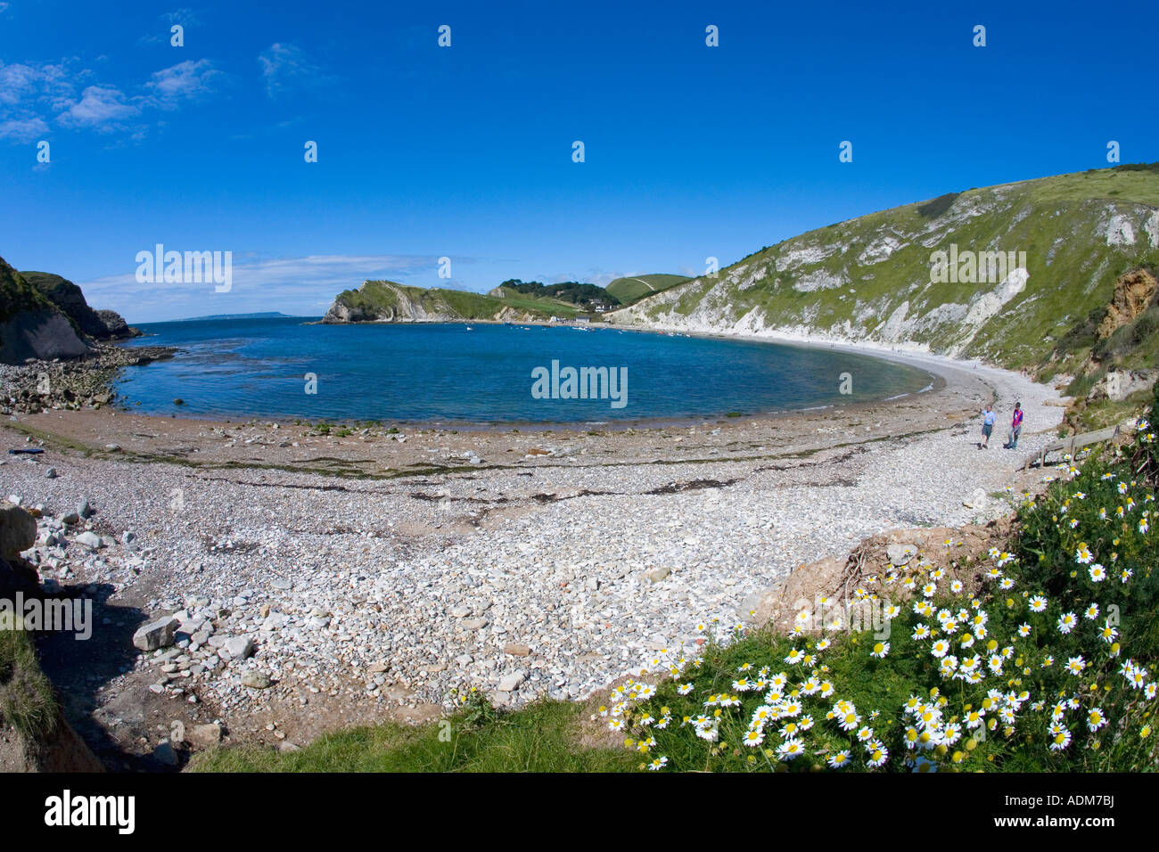 Lulworth Cove pebble beach in summer sun sunshine UNESCO Jurassic Coast ...