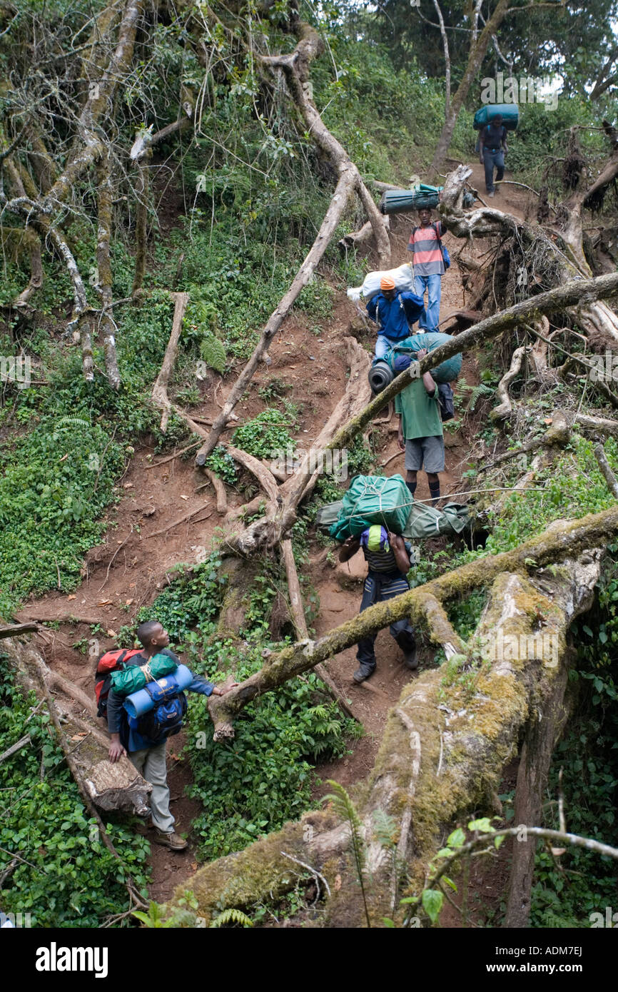 African expeditions hi-res stock photography and images - Alamy